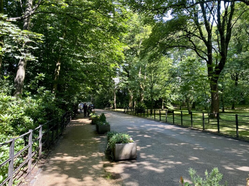 ブサ可愛いハイランド牛と、ハギス×ウイスキークリームの未体験の美味しさ！ - 世界一周 めし旅