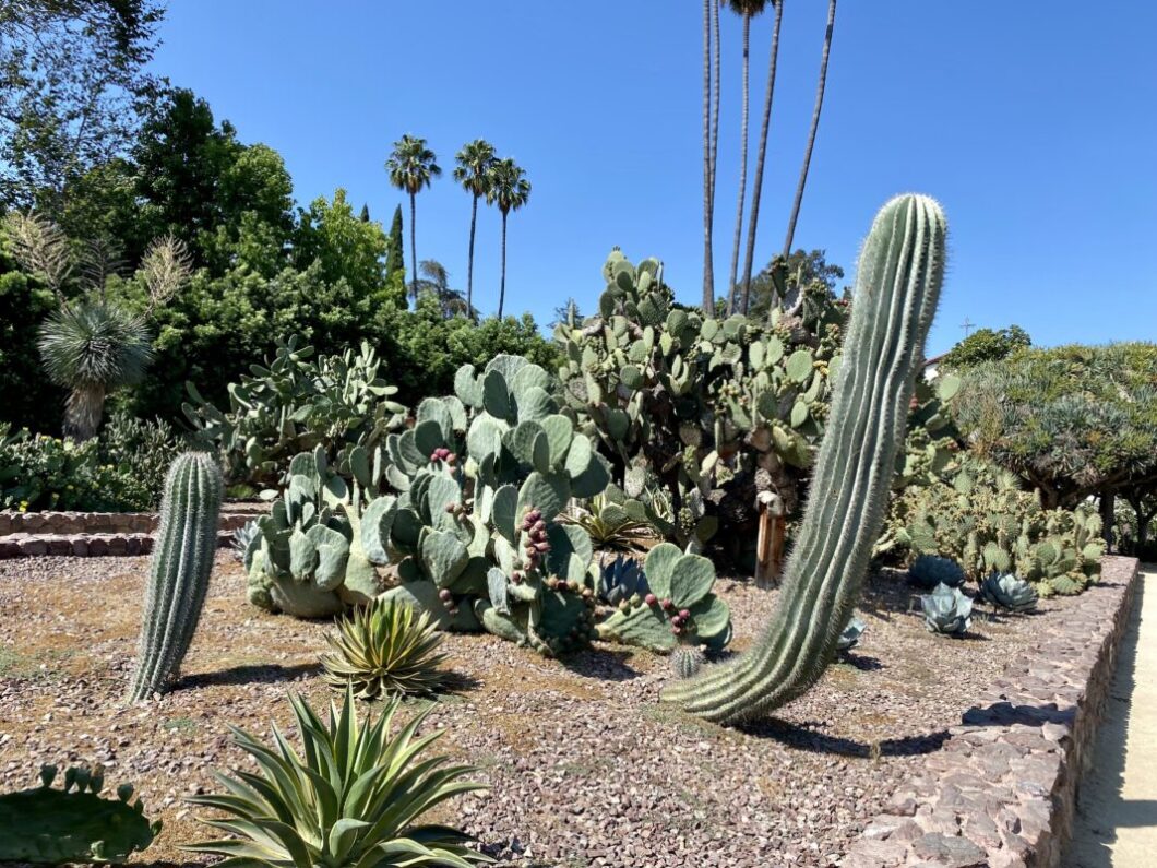 ロサンゼルスの名所巡りは、断トツでサンタモニカ・ビーチが優勝！ - 世界一周 めし旅